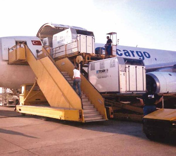 About us - Intradco Global