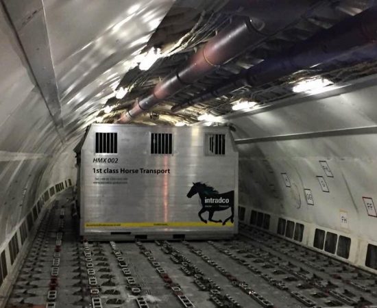 Cutting-edge Equine and Animal Air Charter Equipment