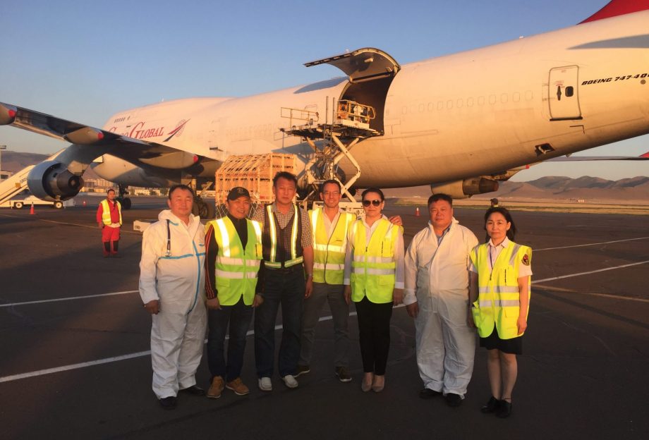 Sheep Air Charter | Animal Air Charter | Livestock | Intradco Global